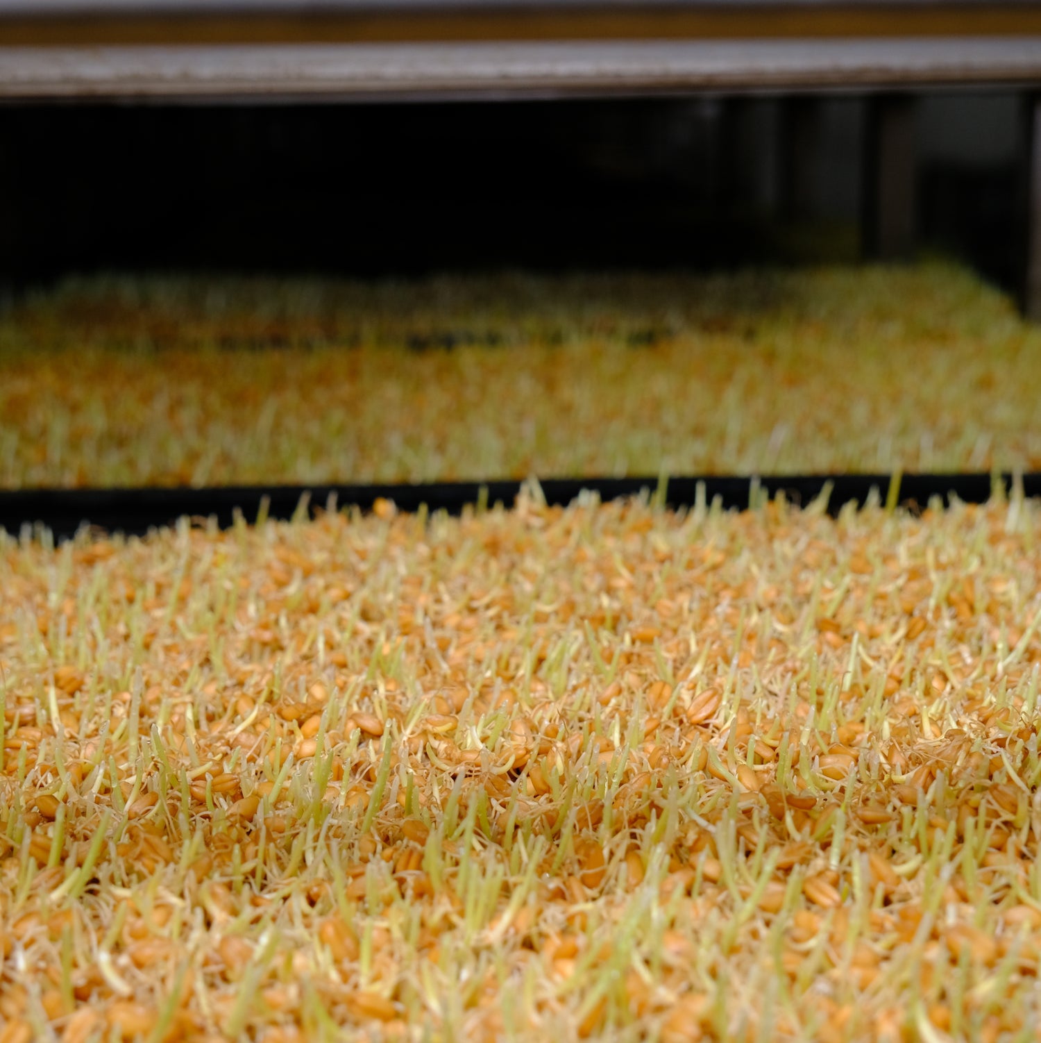 Wu Yin Taiwanese Black Vinegar | Yun Hai Taiwanese Pantry