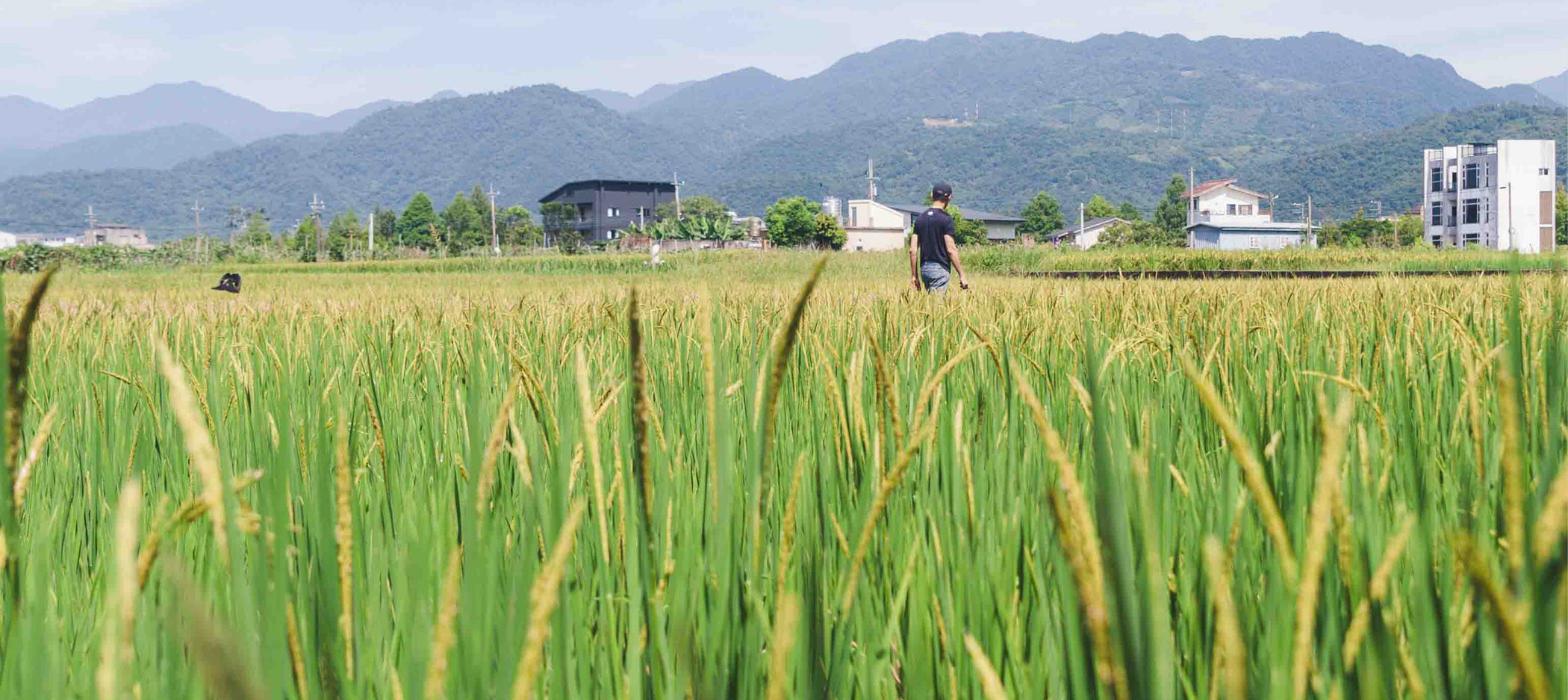 Yun Hai Taiwanese Pantry