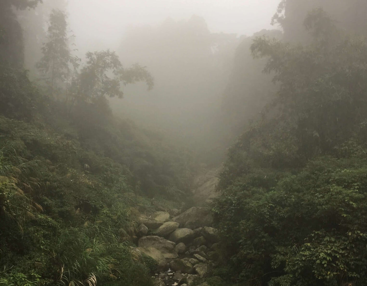 Yun Hai: Info | Yun Hai Taiwanese Pantry